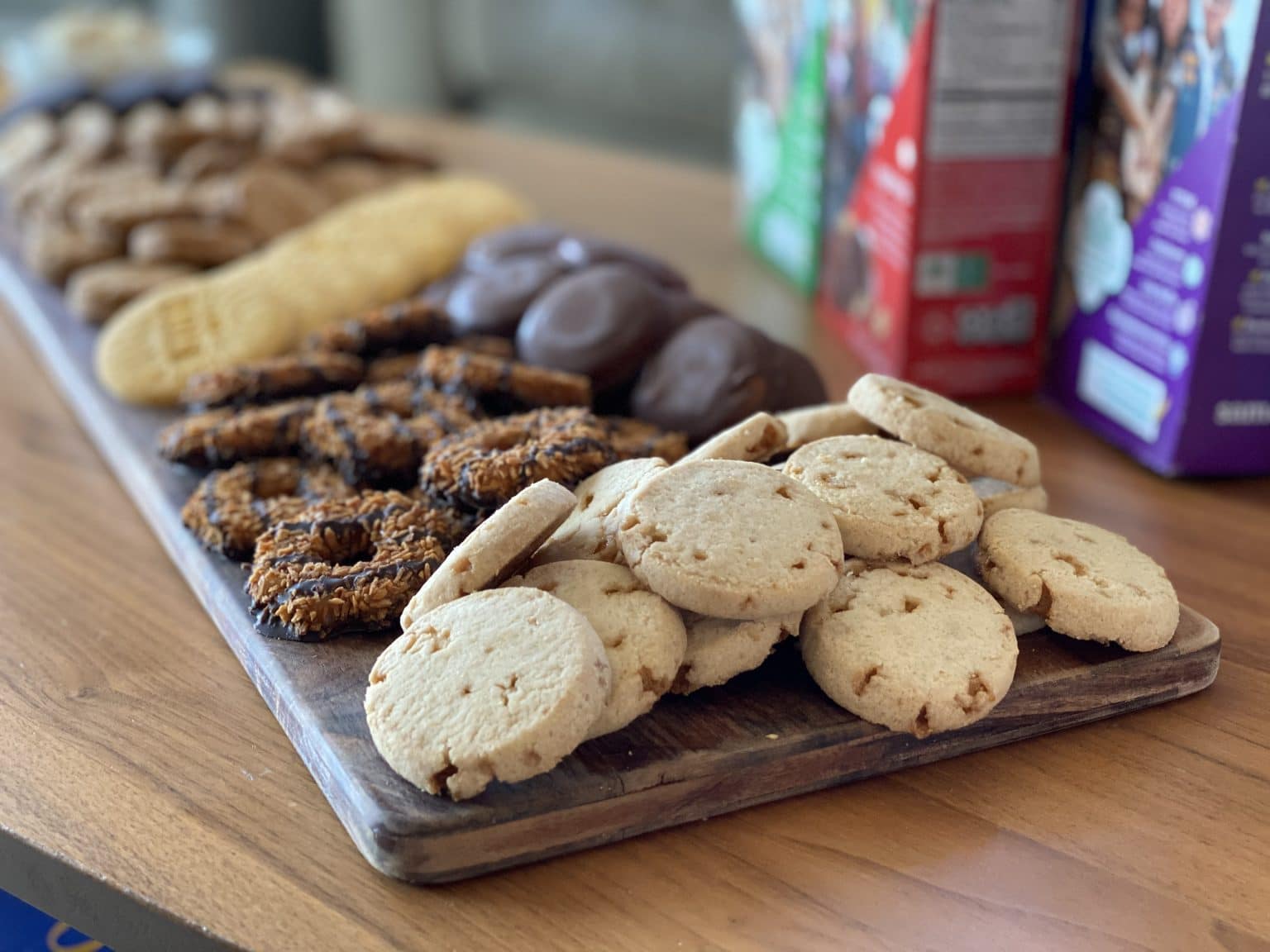 Tips for selling Girl Scout cookies door to door | BigCrazyLife